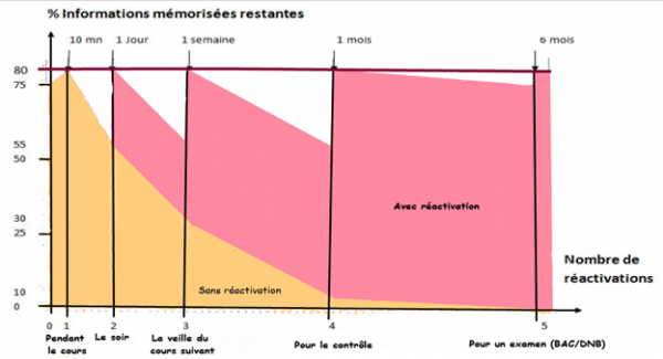 Méthode des rappels : apprendre par cœur efficacement ? - Major Prépa