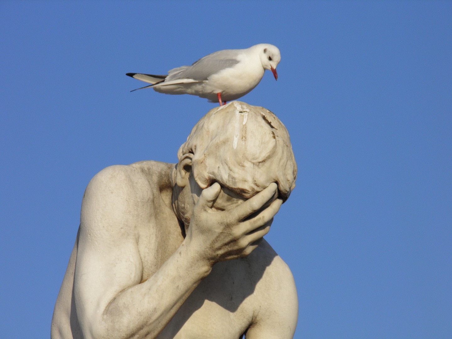 Copie de synthèse ESCP 2017 notée 18/20 - La pitié - Major Prépa