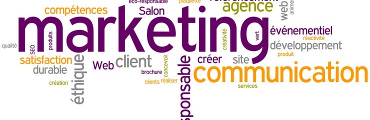 Les stratégies marketing des firmes anglo-saxonnes - Major Prépa