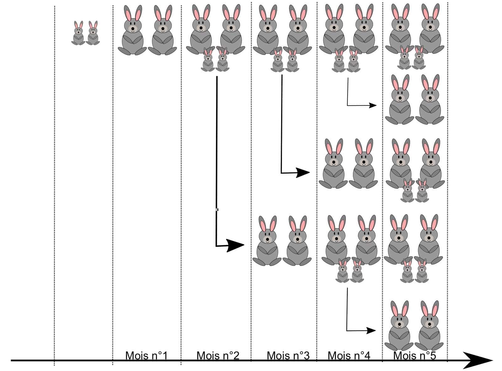 La suite de Fibonacci et le problème des lapins - Major Prépa