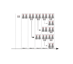La suite de Fibonacci et le problème des lapins - Major Prépa