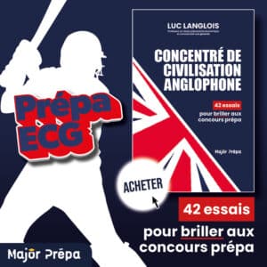 Les FTN dans la mondialisation : Analyse